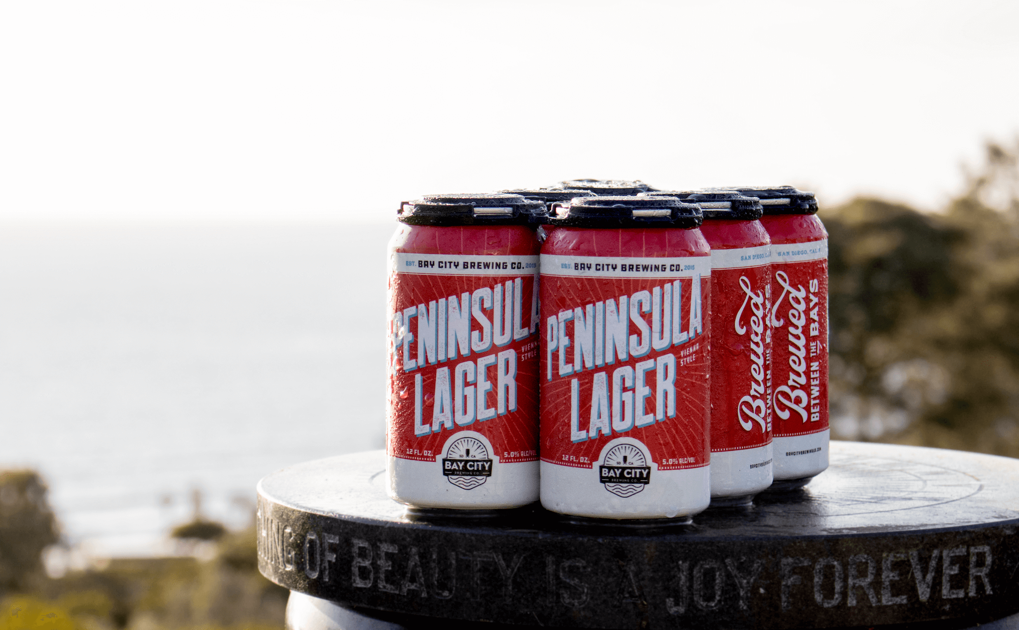 Bay City's Top 5 Best-Selling Beers | Bay City Brewing